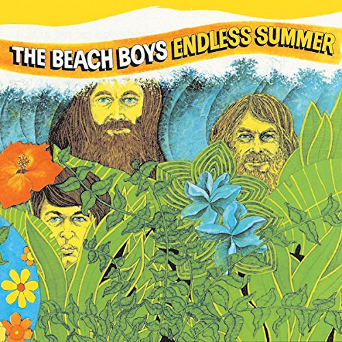 The Beach Boys Endless Summer (Limited Edition, 180 Gram Vinyl) (2 Lp ...